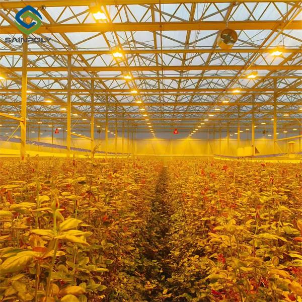 Quality Low Maintenance Commercial Glass Greenhouse With Adjustable Roof Vents for sale