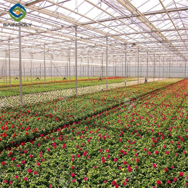 Quality Customized Flower Green House Easy Assembly Plant Greenhouses for sale