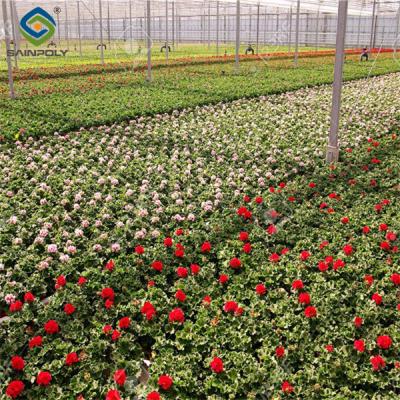 Cina Serre per fiori intelligenti con sistemi idroponici in vendita