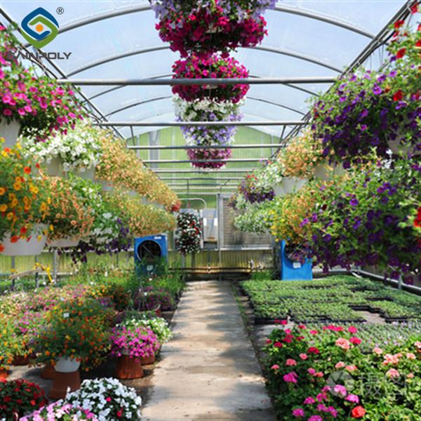 Quality Waterproof Flower Greenhouse Multi Span Greenhouse With Strong Load Bearing for sale