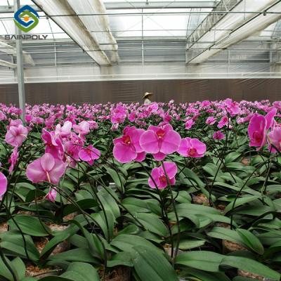 中国 室内・室外用 植物温室 商業温室 耐天候 販売のため