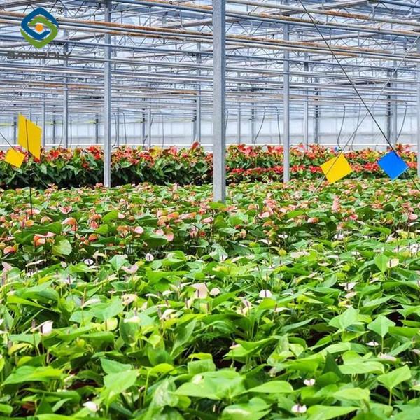 Quality Commercial 4 Season Greenhouse Flower Planting Greenhouse UV Resistant for sale