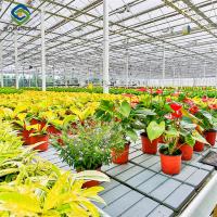 Quality Intelligent Smart Flower Greenhouses With Hydroponic System Rolling Bench for sale