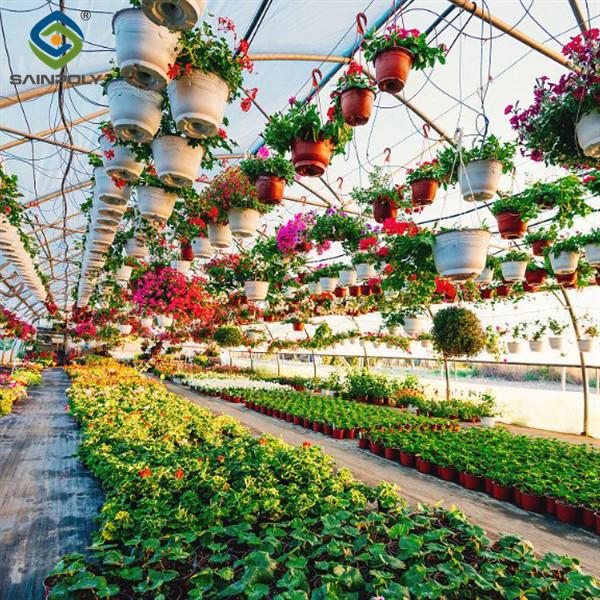 Quality Easy Assembly Glass Type Flower Greenhouses With Hydroponic Growing System for sale