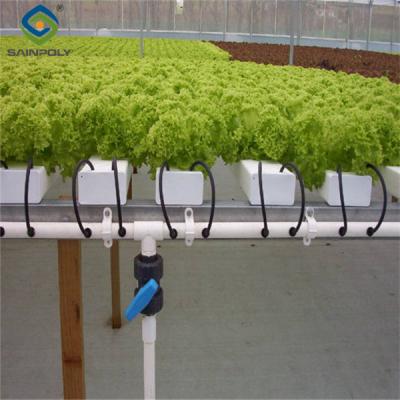 China Multispan Lettuce Work Greenhouse With NFT Hydroponic Growing Systems for sale