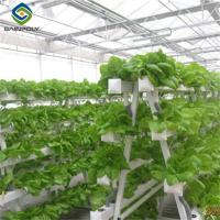 Quality Sainpoly Hydroponic Lettuce Greenhouse Tunnel Green House Customized for sale