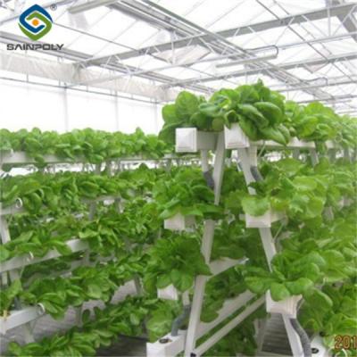 Quality Sainpoly Hydroponic Lettuce Greenhouse Tunnel Green House Customized for sale