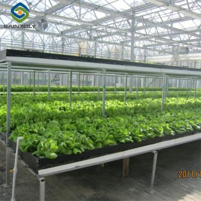 Cina Facile installazione Serre agricole personalizzate con illuminazione LED in vendita