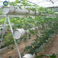 China Galvanized Frame Multi Span Greenhouse With Hydroponic Growing Systems for sale