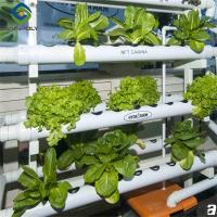 Quality High Yield Agricultural Lettuce Greenhouse With Intelligent Control System for sale