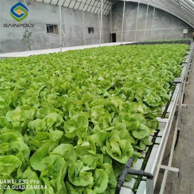 Cina Facile installazione Serre agricole personalizzate con illuminazione LED in vendita