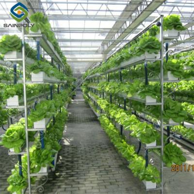 Cina Serra idroponica commerciale di Sainpoly per la coltivazione di lattuga in vendita
