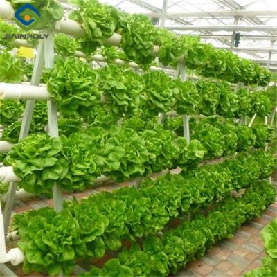 Cina Facile installazione Serre agricole personalizzate con illuminazione LED in vendita