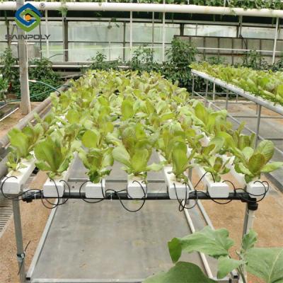China Galvanized Frame Multi Span Greenhouse With Hydroponic Growing Systems for sale