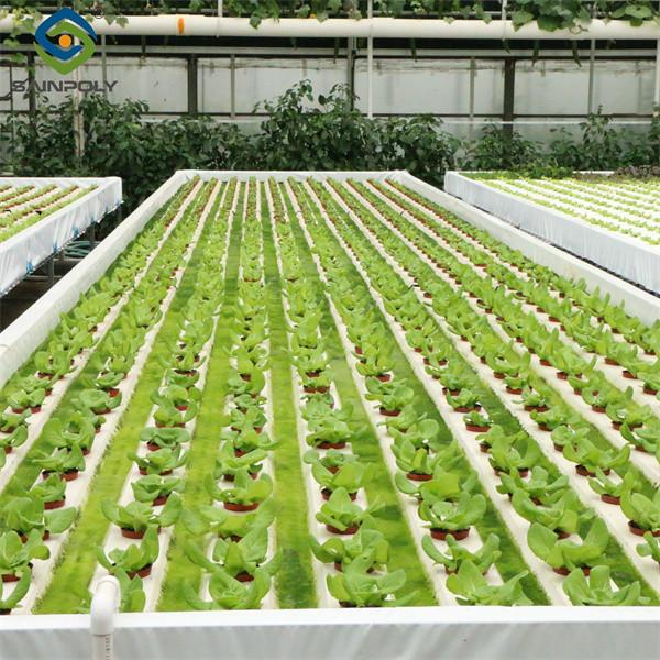Quality PVC Gutter Soilless Culture Hydroponic Lettuce Greenhouse Anti Corrosion for sale