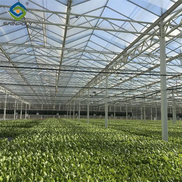 Quality Sainpoly Hydroponic Lettuce Greenhouse Tunnel Green House Customized for sale