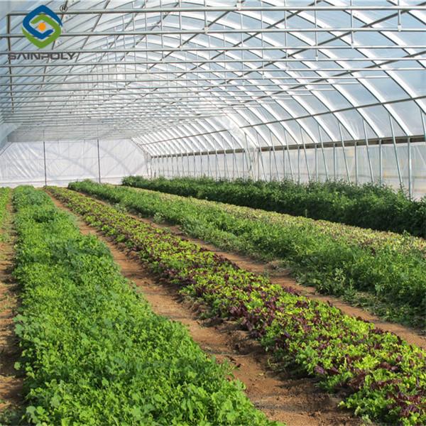 Quality Sainpoly Hydroponic Lettuce Greenhouse Tunnel Green House Customized for sale