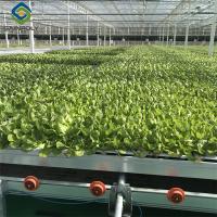 Quality Lettuce Greenhouse for sale