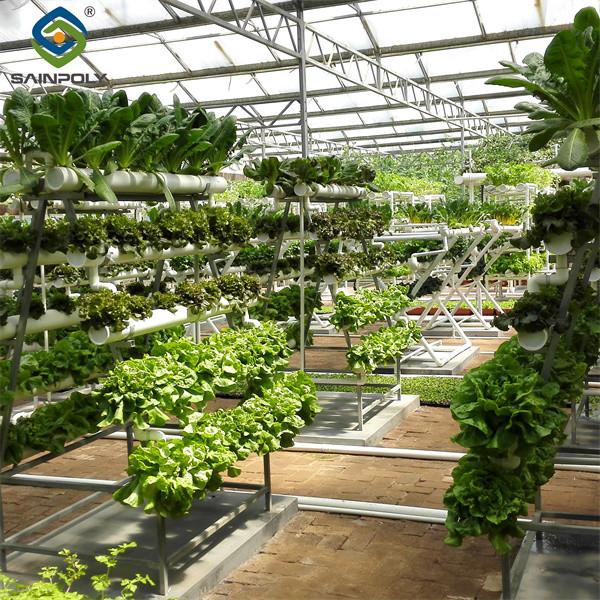 Quality Commercial Lettuce Farm NFT Greenhouse With Galvanized Frame 1.6-1.8m Height for sale