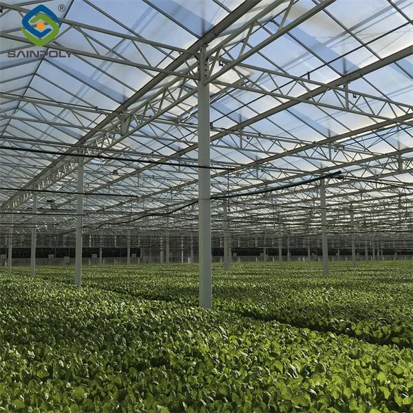 Quality Commercial Lettuce Farm NFT Greenhouse With Galvanized Frame 1.6-1.8m Height for sale