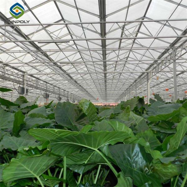 Quality Modern Venlo Greenhouse Farming Commercial Glass Greenhouse With Steel Frame for sale
