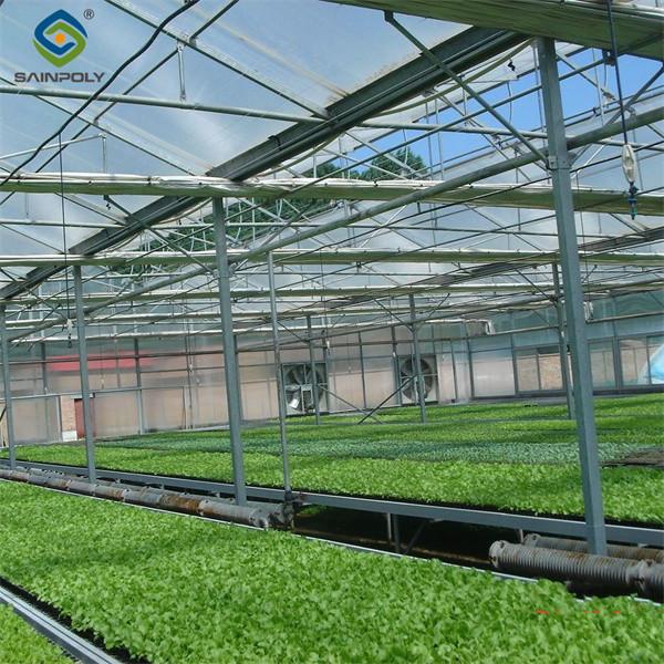 Quality Venlo Style Polycarbonate Farming Green House Customizable Size for sale