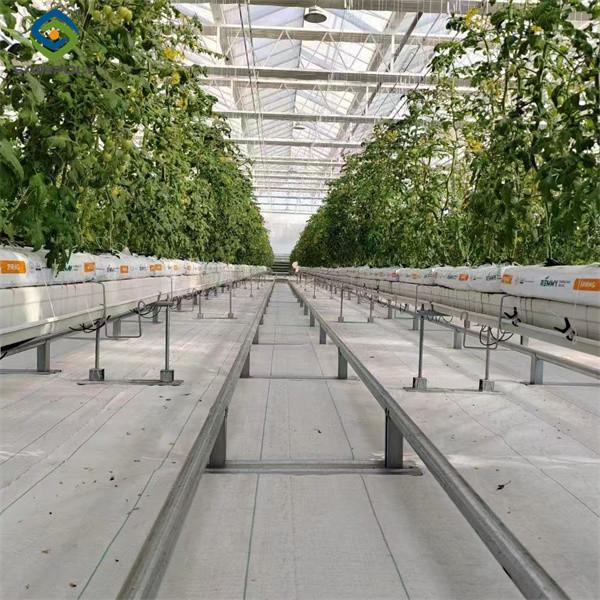 Quality Venlo Style Polycarbonate Farming Green House Customizable Size for sale