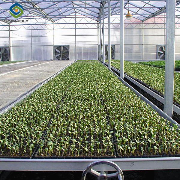Quality Modern Venlo Greenhouse Farming Commercial Glass Greenhouse With Steel Frame for sale