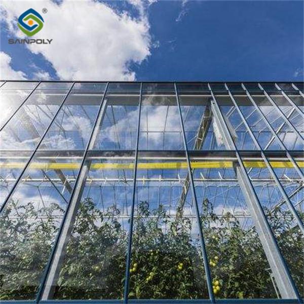Quality Adjustable Shading Net Venlo Greenhouse Multi Span Glass Green House for sale
