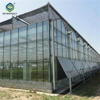 Quality Custom Dutch Venlo Greenhouse Modern Farms Greenhouse With Intelligent Control for sale