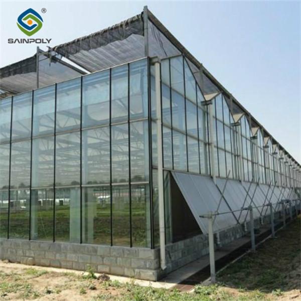 Quality Custom Dutch Venlo Greenhouse Modern Farms Greenhouse With Intelligent Control for sale