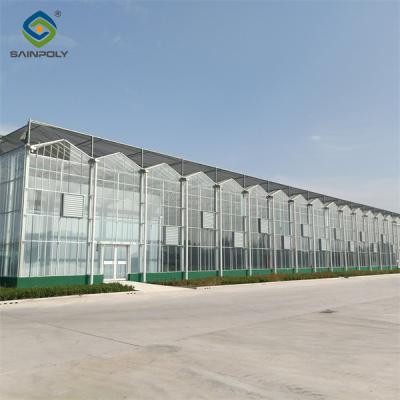 中国 鉄枠 オランダのヴェンロ温室 トマトを植える温室 販売のため