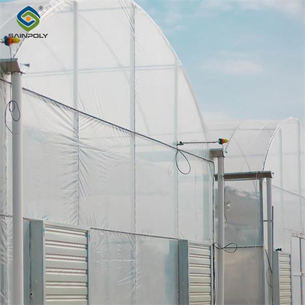 Quality Polycarbonate Covering Multi Span Greenhouse With Galvanized Steel Structure for sale