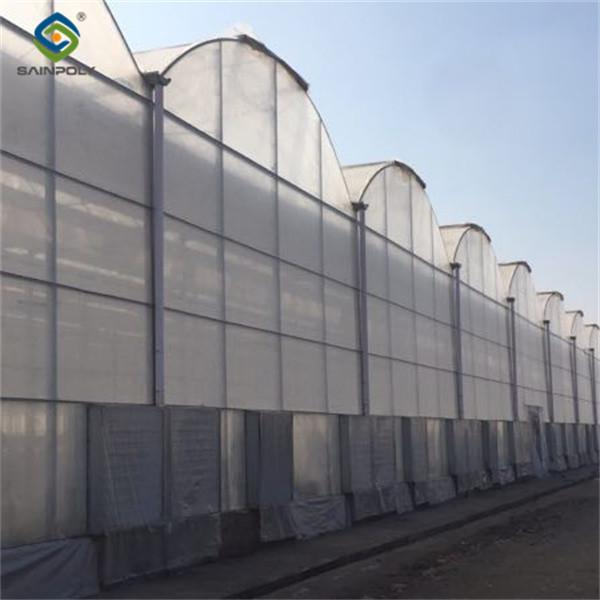 Quality Large Plastic Covering Greenhouse Economical Solution For Agricultural for sale