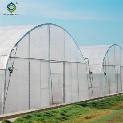 Cina Serre commerciale automatizzata Agricoltura Agricoltura Serre a prova di tempo in vendita