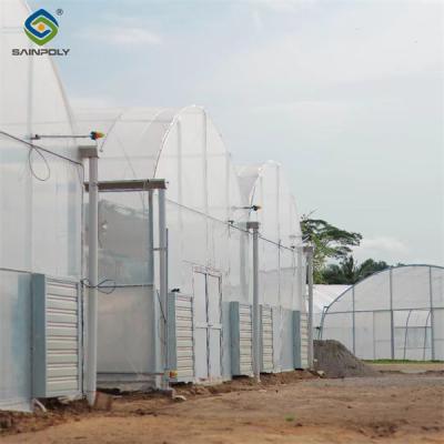 China Cuadro de acero galvanizado invernadero de 30-100m longitud tamaño personalizado en venta