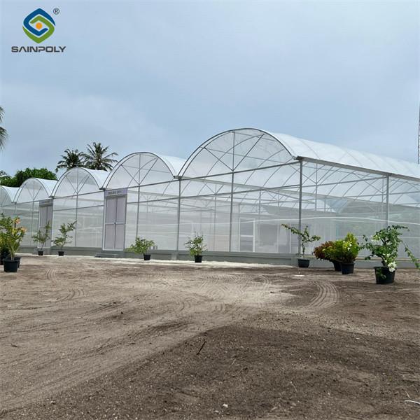 Quality Hydroponic Glass / Pc Sheet Greenhouse With Tomato Growing System Large for sale