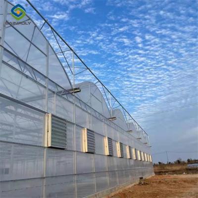 Cina Dimensioni commerciali Serra multispan Serra protezione UV in vendita