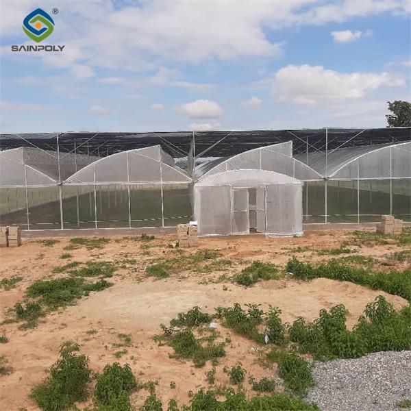 Quality Hydroponic Glass / Pc Sheet Greenhouse With Tomato Growing System Large for sale