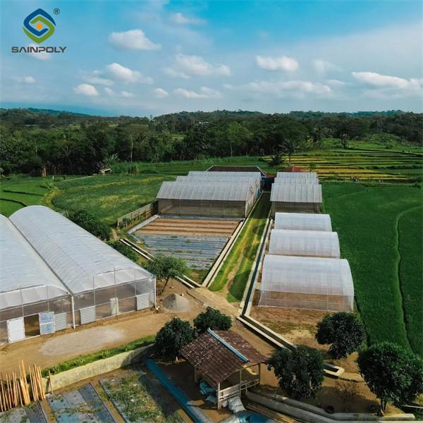 Quality Customized Commercial Greenhouse Vegetable Production For Pepper And Cucumber for sale