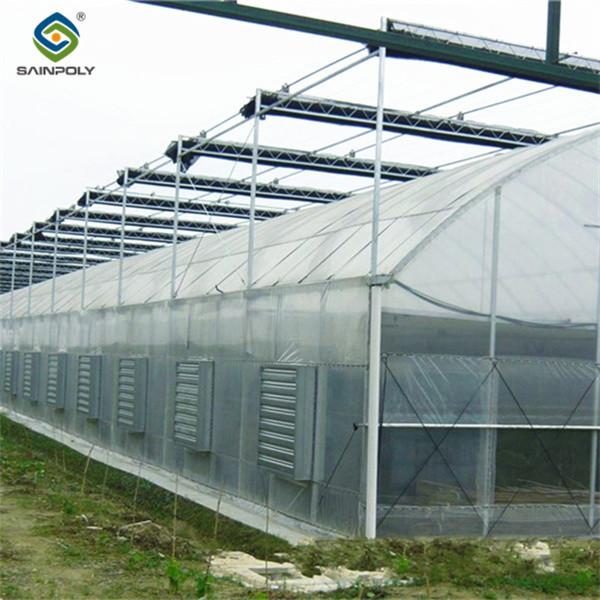 Quality Large Plastic Covering Greenhouse Economical Solution For Agricultural for sale