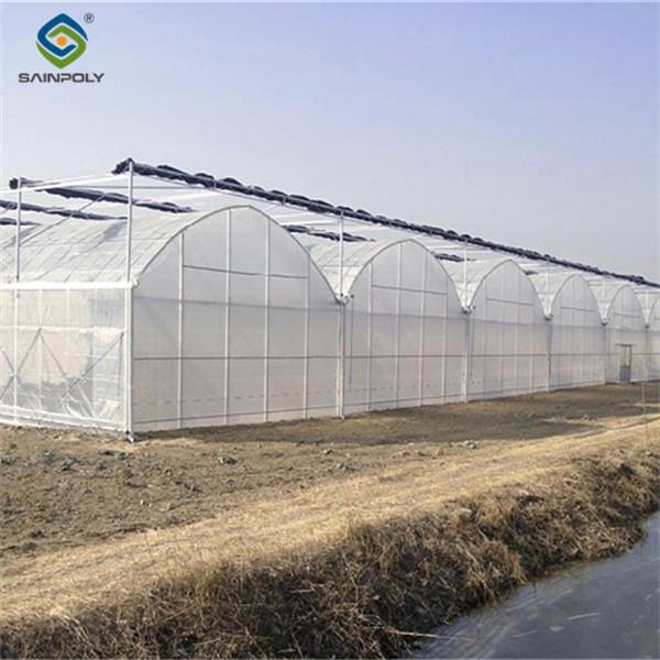 Quality Computerized Control Agriculture Commercial Greenhouse Space Efficient for sale