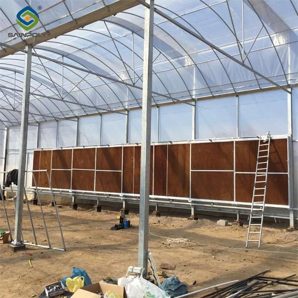 Quality Agricultural Multi Span Poly Film Greenhouse Stable Hydroponic Growing Systems for sale