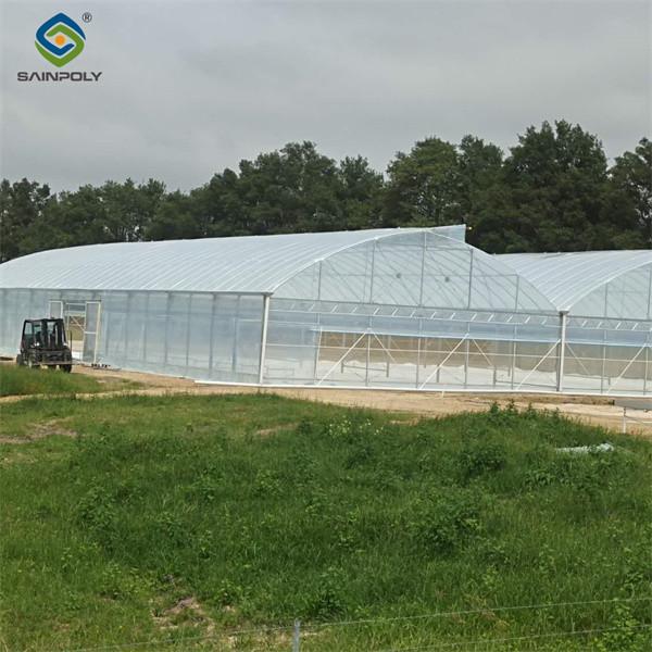 Quality Customizable Commercial Hydroponic Greenhouse Tomato Green House Low Maintenance for sale