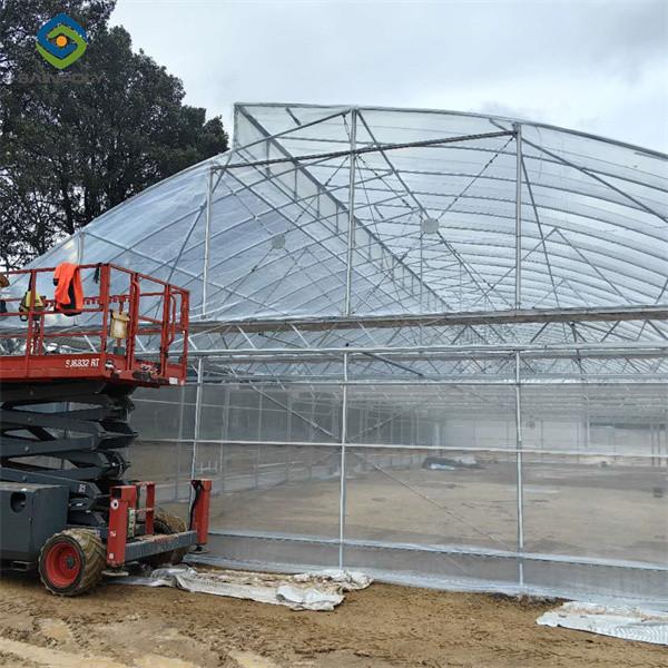 Quality Customizable Commercial Hydroponic Greenhouse Tomato Green House Low Maintenance for sale