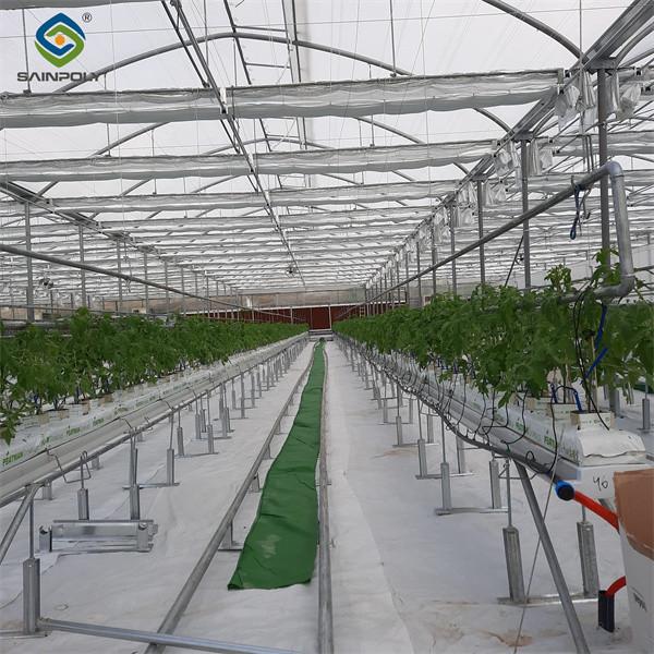 Quality Agricultural Multi Span Poly Film Greenhouse Stable Hydroponic Growing Systems for sale