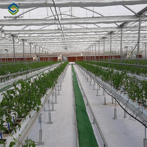 Quality Easy To Assemble Multi Span Greenhouse For Growing Vegetables And Flowers for sale