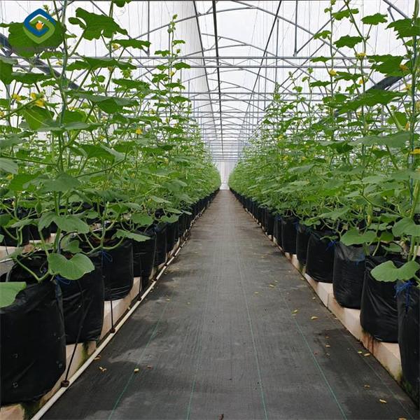 Quality Computerized Control Agriculture Commercial Greenhouse Space Efficient for sale