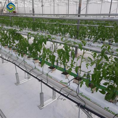 China Galvanized Steel Multispan Commercial Polycarbonate Greenhouse Customized Length for sale