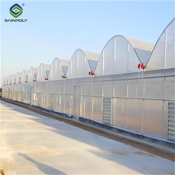 Quality Customized Commercial Greenhouse Vegetable Production For Pepper And Cucumber for sale